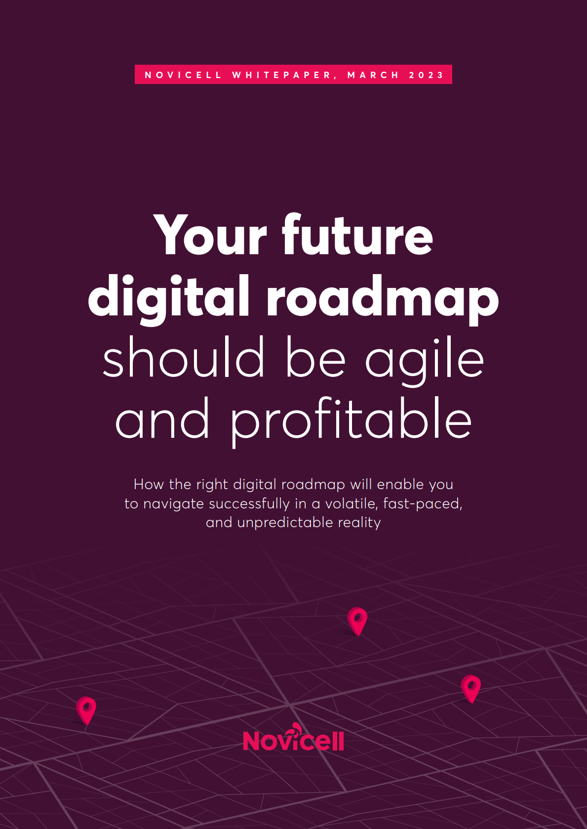 Digital Roadmap White Paper | Novicell UK