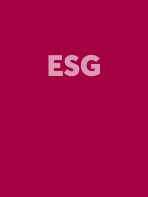 Kom godt i gang med ESG rapportering | Novicell